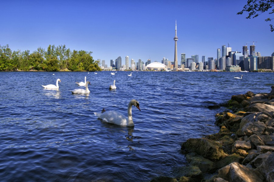 10 Things to Do in Ontario This Spring - CAA South Central Ontario