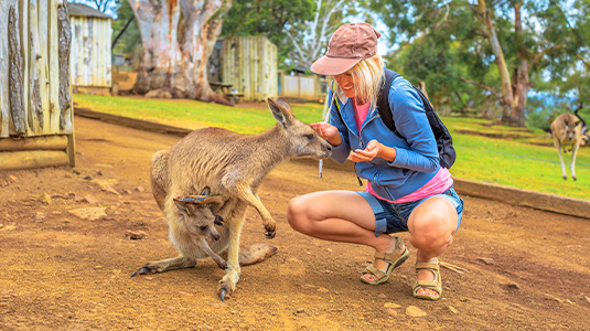 Travel More with Special Offers - CAA South Central Ontario